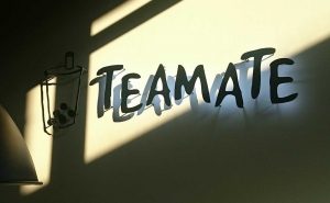 Teamate in Düsseldorf – Bubble Tea im modernen Teehaus